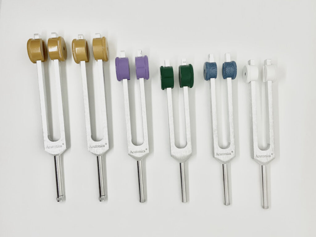 Acutonics® Earth Moon Mid Professional Tuning Fork Set (6), with 2 ...